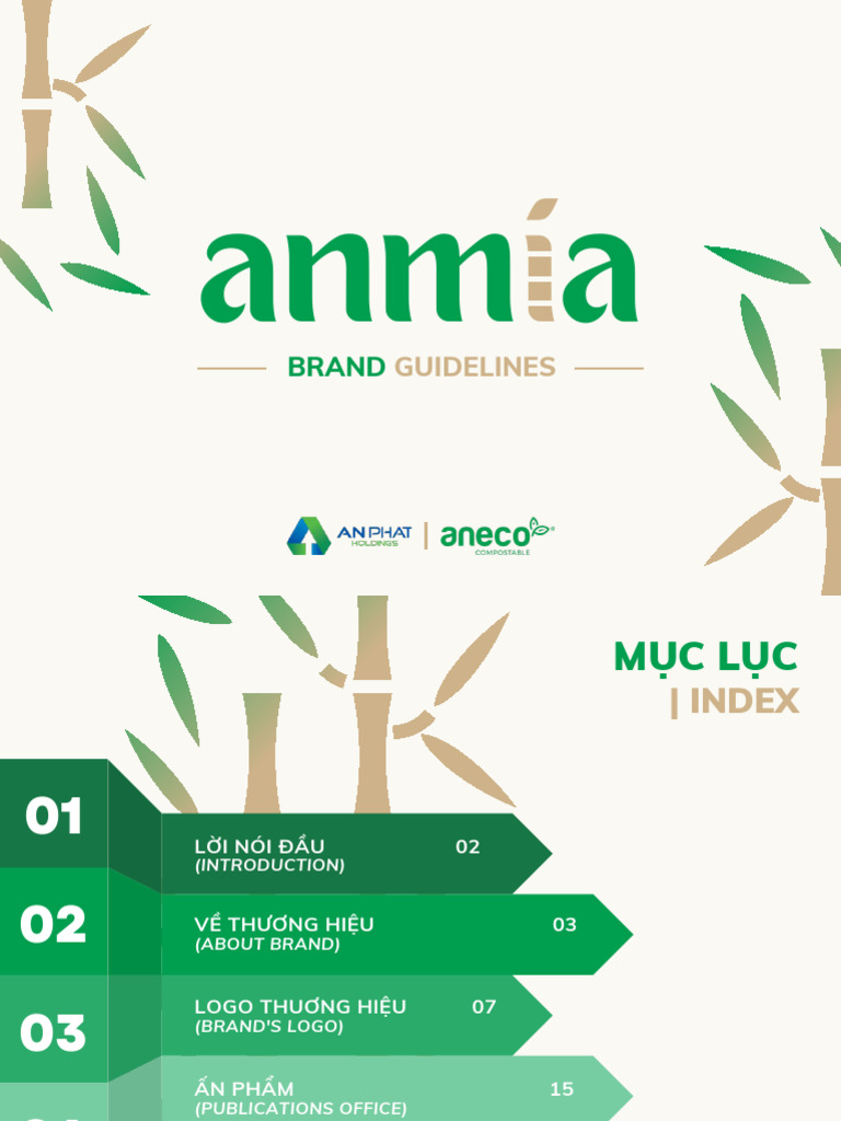 ANMIA BRANDGUIDELINES Compressed | PDF