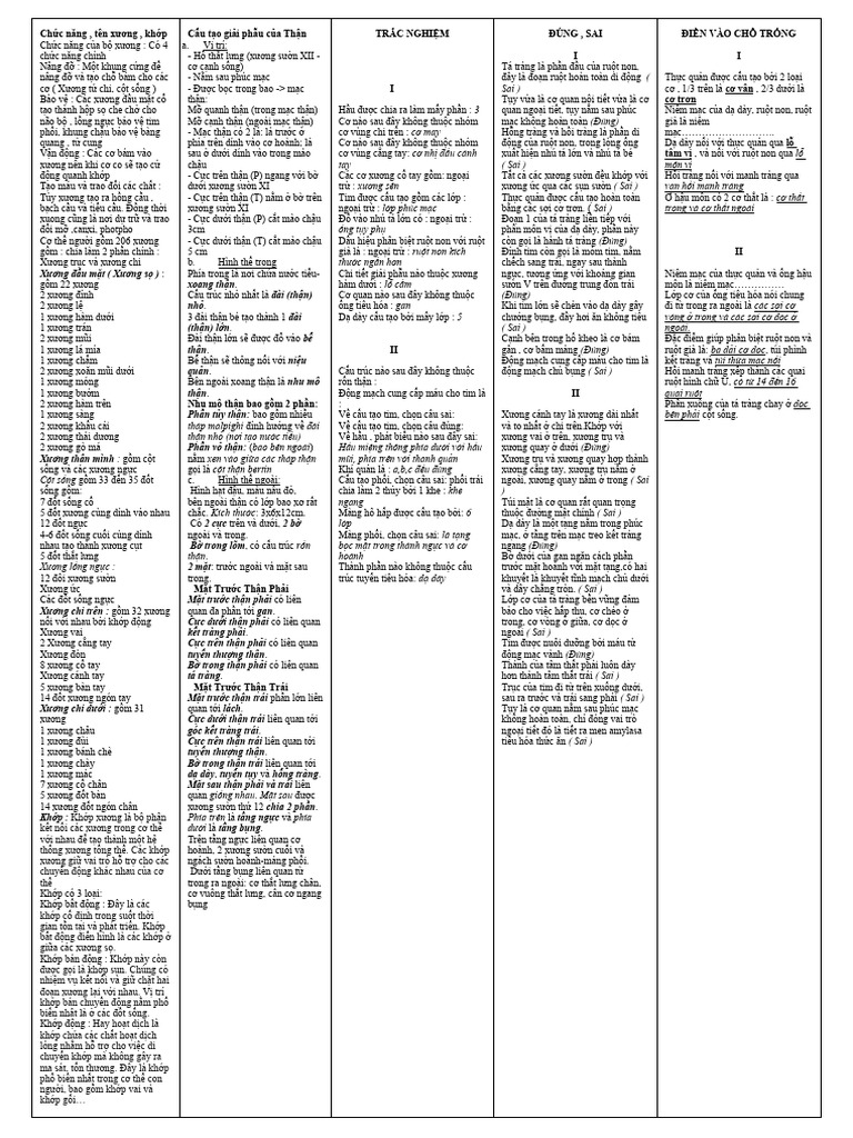 GP Phao C A Tùng Béo | PDF