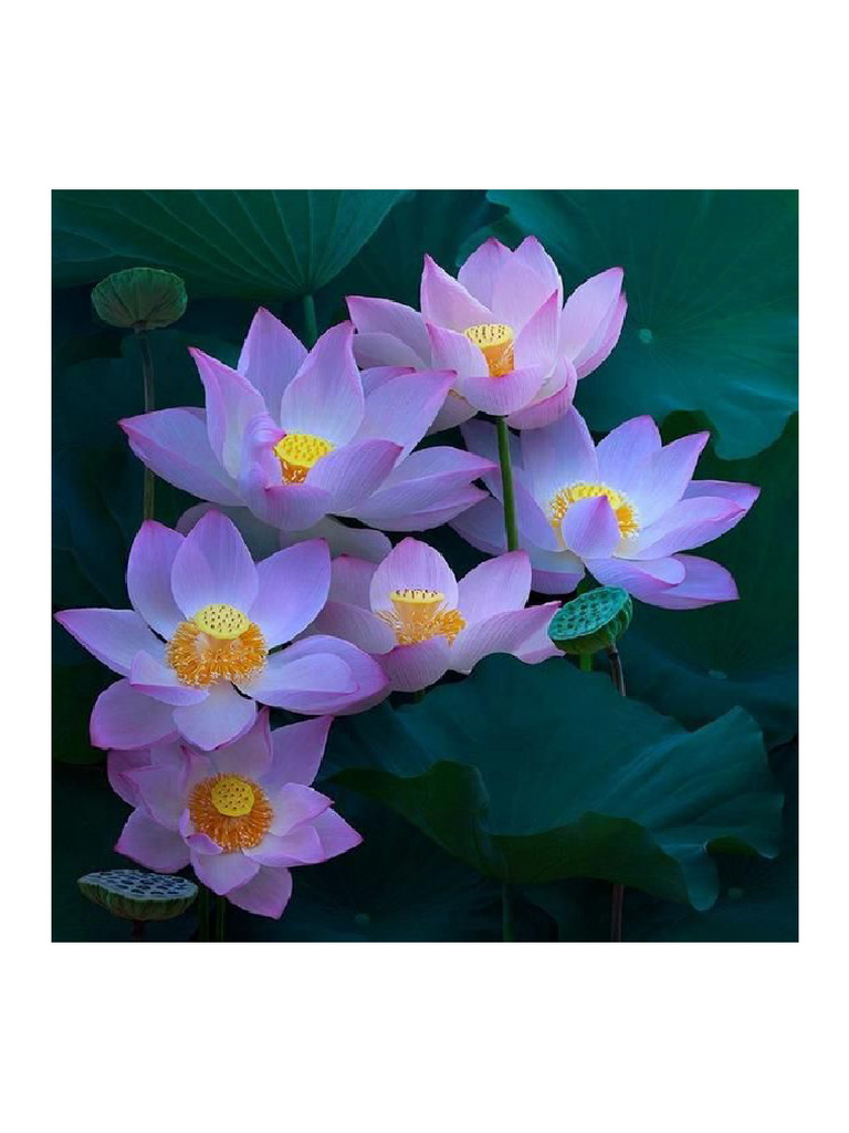 Imgtopdf 1906241152055 | PDF