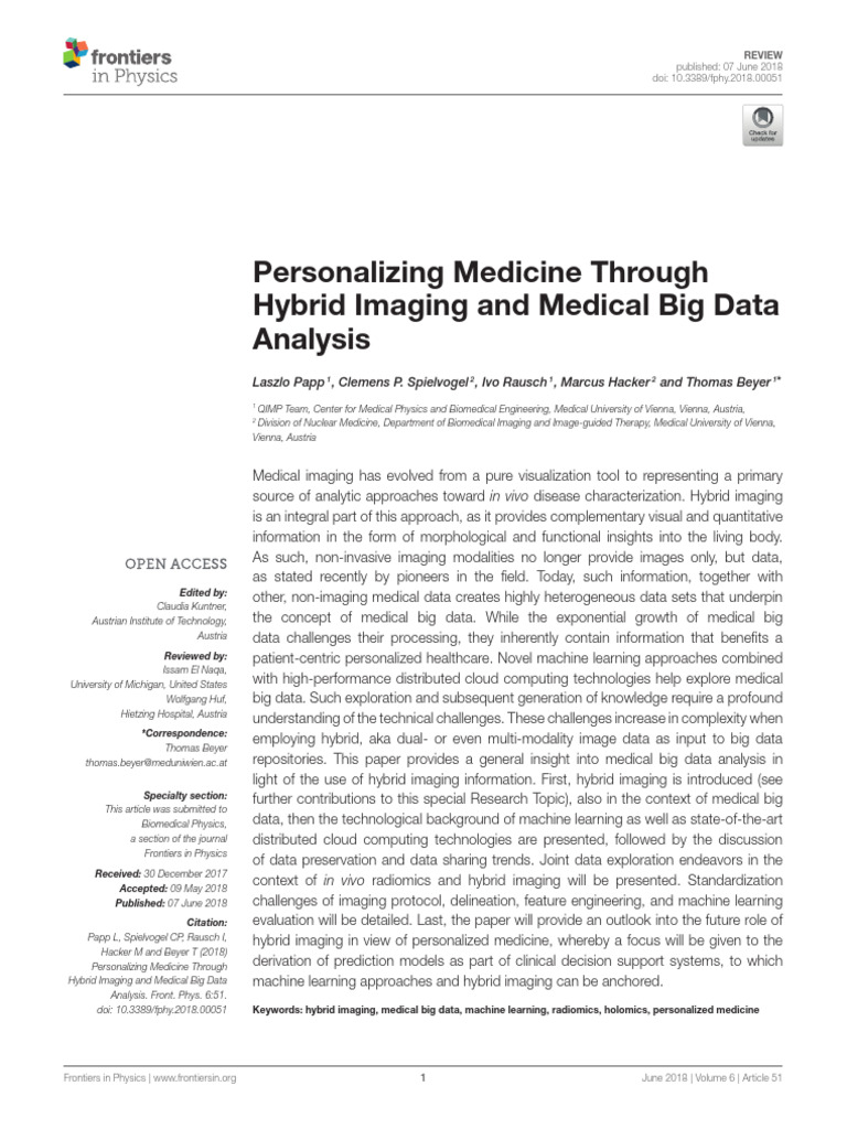 Personalizing Medicine Through Hybrid Imaging and Medical Big Data ...