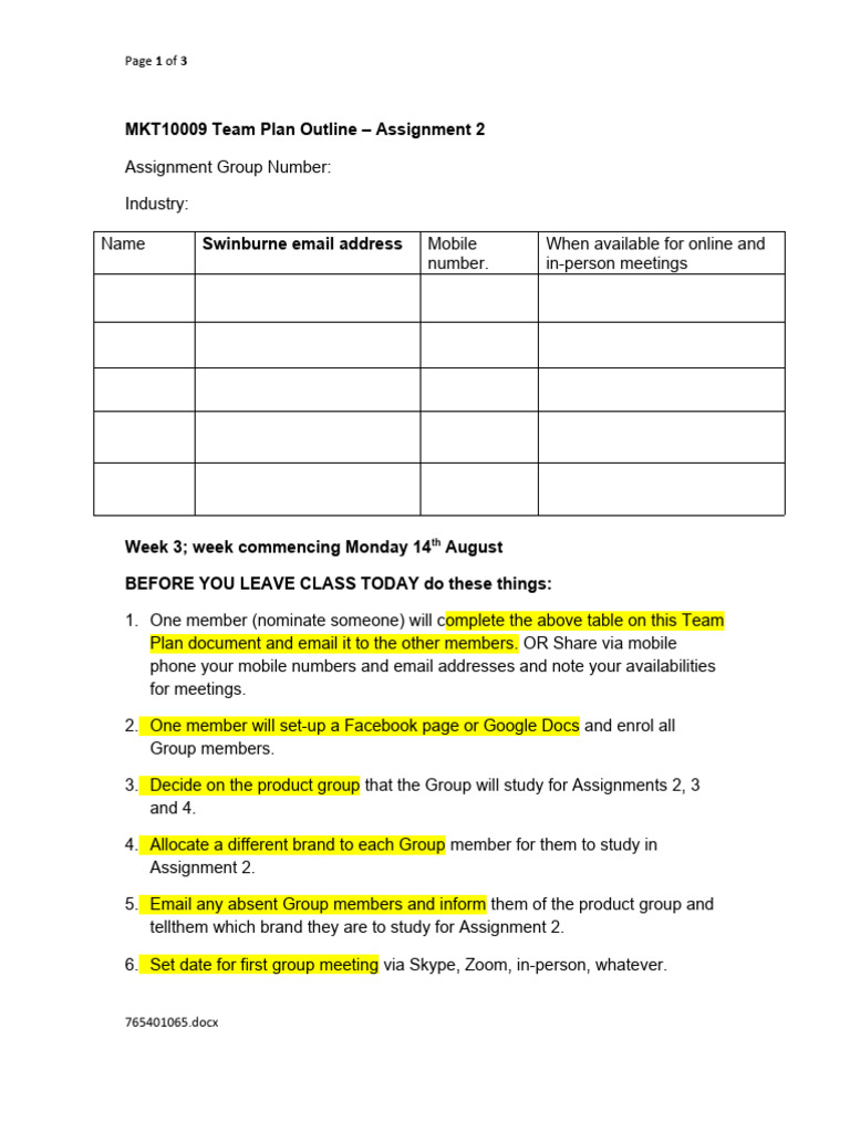 MKT10009 Team Plan Outline - Assignment 2 S2,23-1 | Download Free PDF | Online Services ...