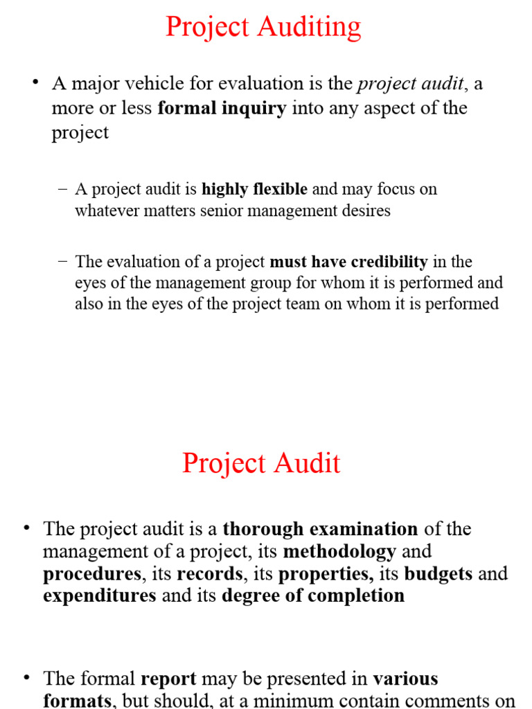 Project Audit | PDF | Audit | Evaluation
