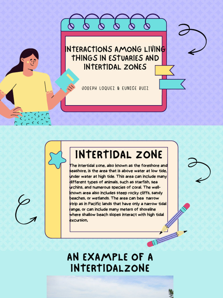 Interactions in Estuaries & Intertidal Zones | PDF | Estuary | Physical ...