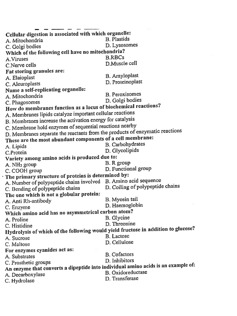 1st Year FLP Bio | PDF