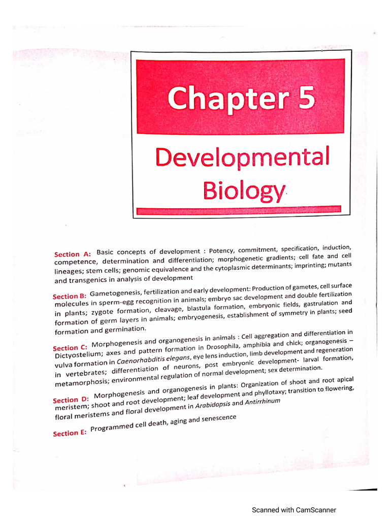 Developmental Biology | PDF
