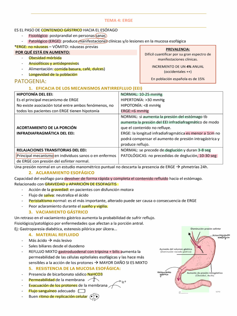Esofago T4 | PDF