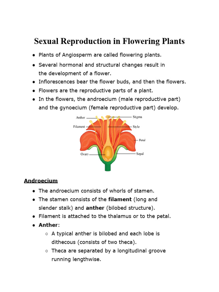 Chapter 2 Sexual Reproduction in Flowering Plants | PDF | Seed | Flowers
