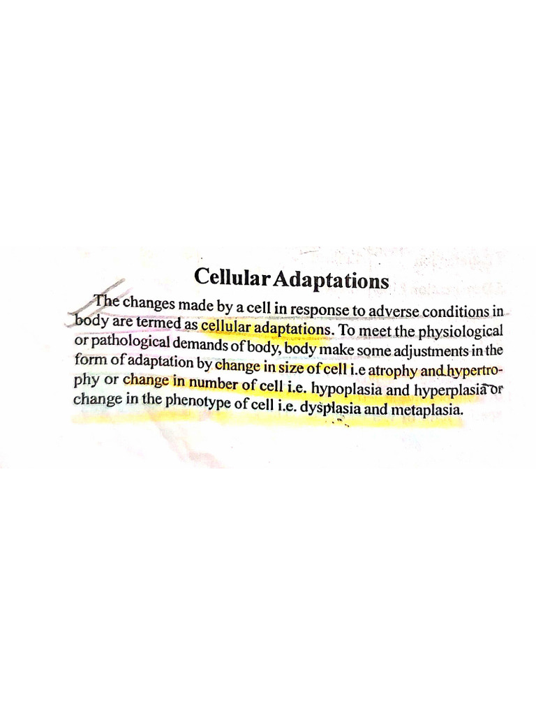 Cellular Adaptations | PDF