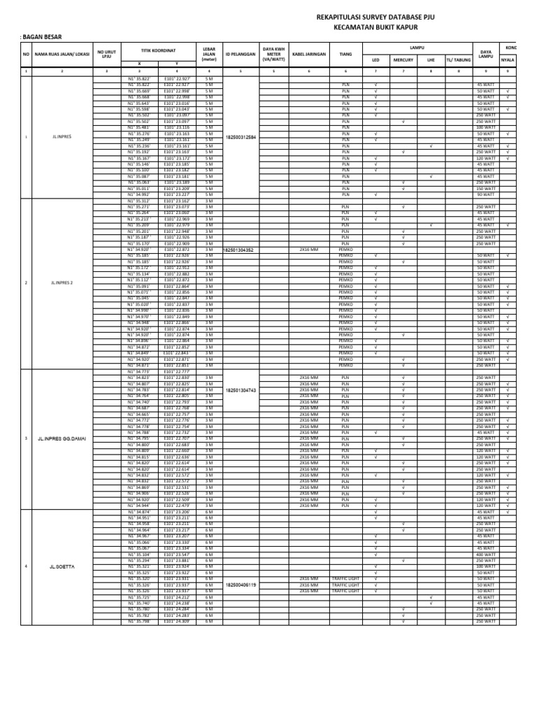 Rekapitulasi Database Pju Kel. Bagan Besar (Dewi) | PDF