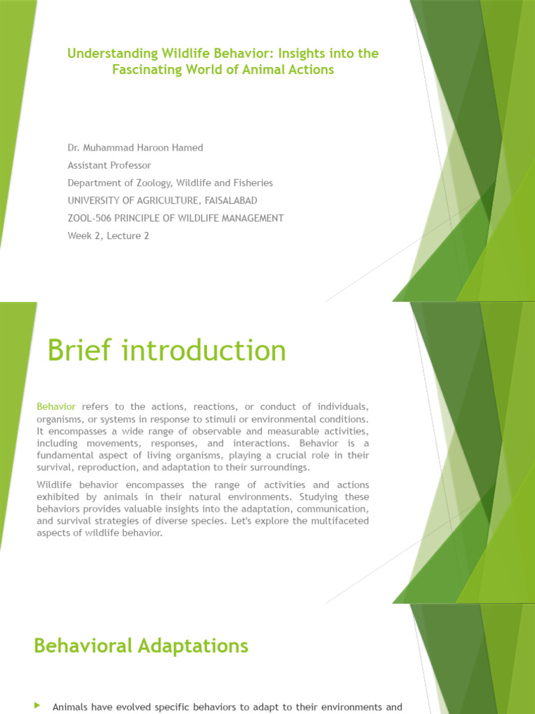 Week2, Lec2.Understanding Wildlife Behavior | PDF | Mating | Biological Concepts