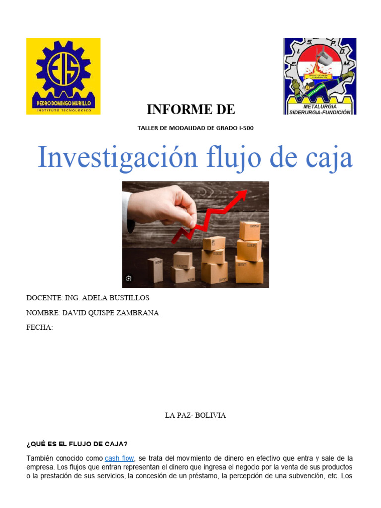 INFORME DE Flujo de Caja | PDF | Flujo de efectivo | Business
