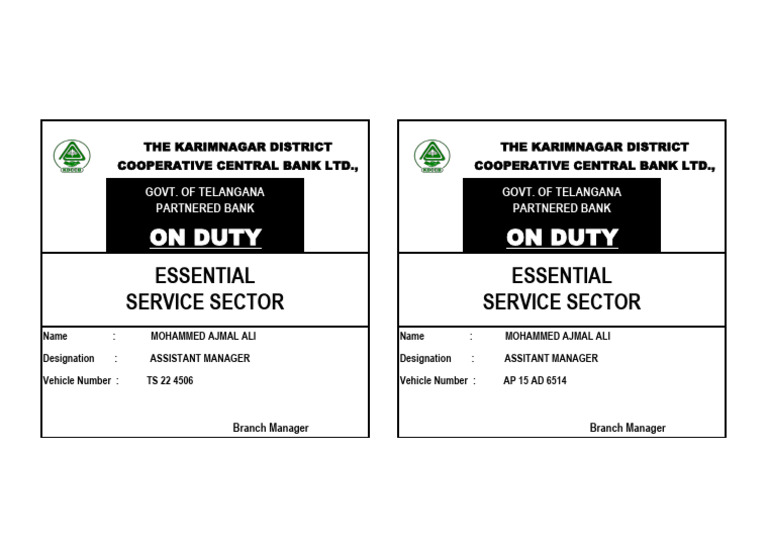 Essential Service Sector: Assistant Manager Details | PDF