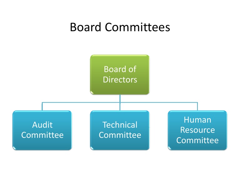 Board of Directors Committees Overview | PDF