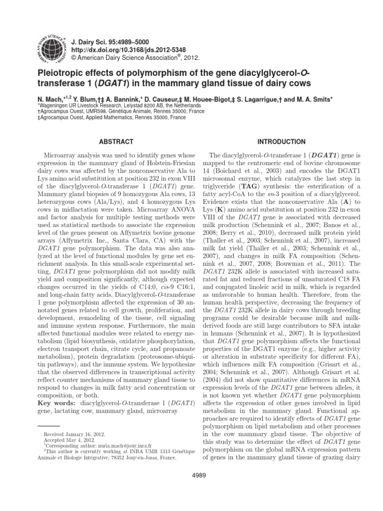 Pleiotropic Effects of Polymorphism of The Gene Diacylglycerol ...