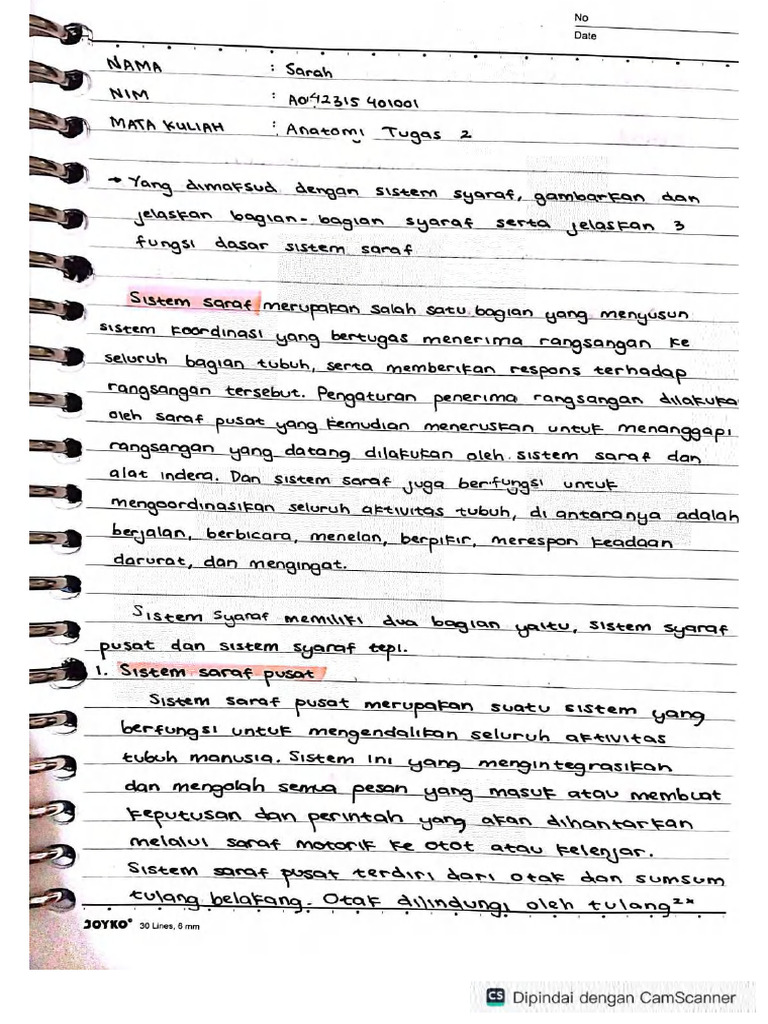 Sarah A042315401001 Tugas-2 Anatomi-Dikompresi-Dikompresi | PDF