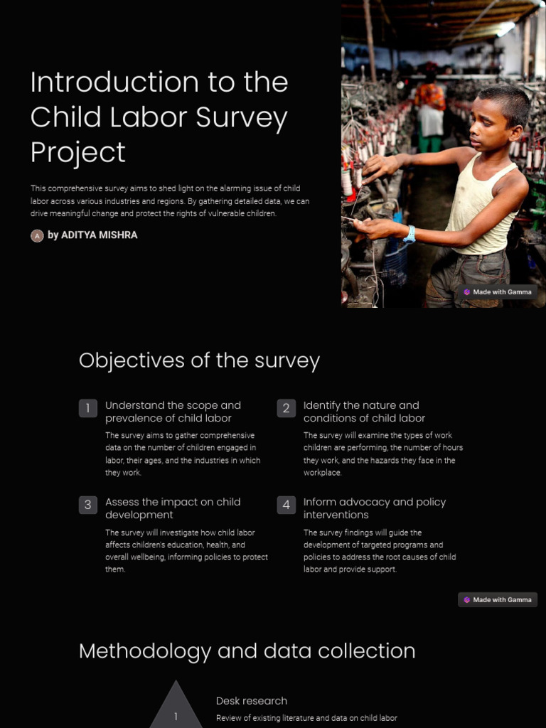 Introduction To The Child Labor Survey Project | PDF | Focus Group ...