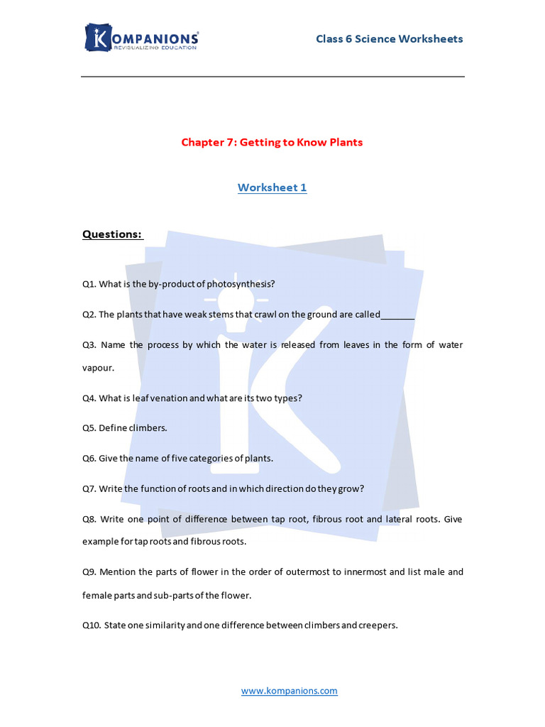Class 6 Science Chapter 7 Getting To Know Pnats Worksheet 1 | PDF ...