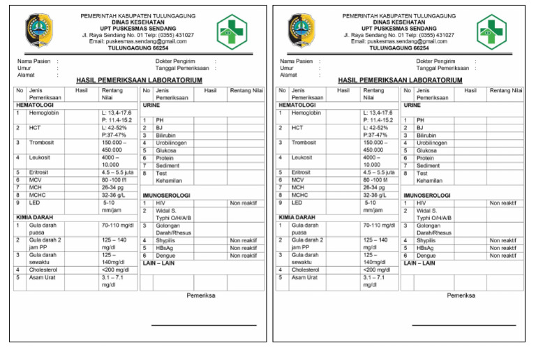 form hasil lab baru | PDF