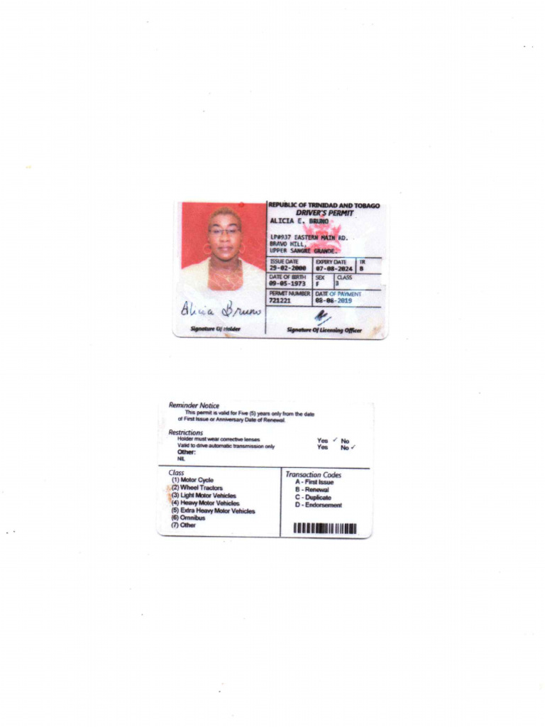 Alicia's Driver's Permit | PDF