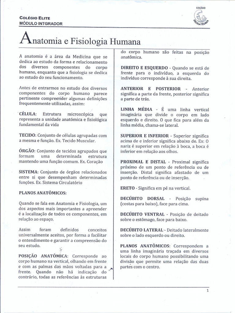 Apostila Anatomia Humana0001 Pdf