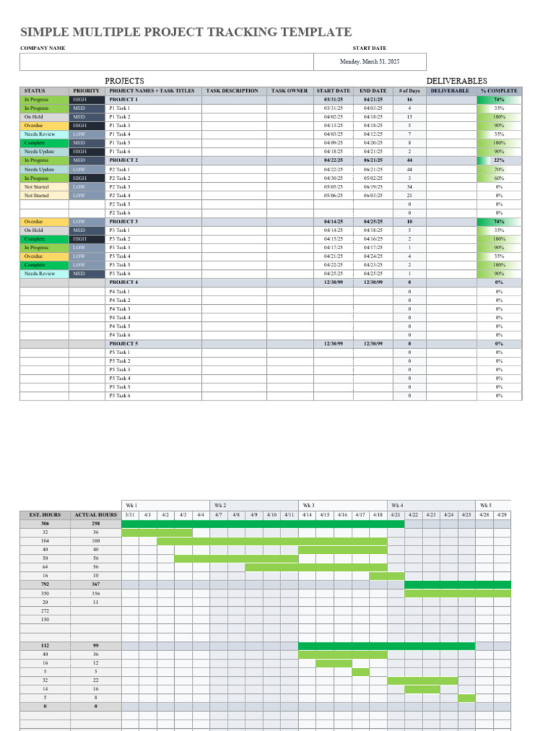 Multiple Project Tracking | PDF