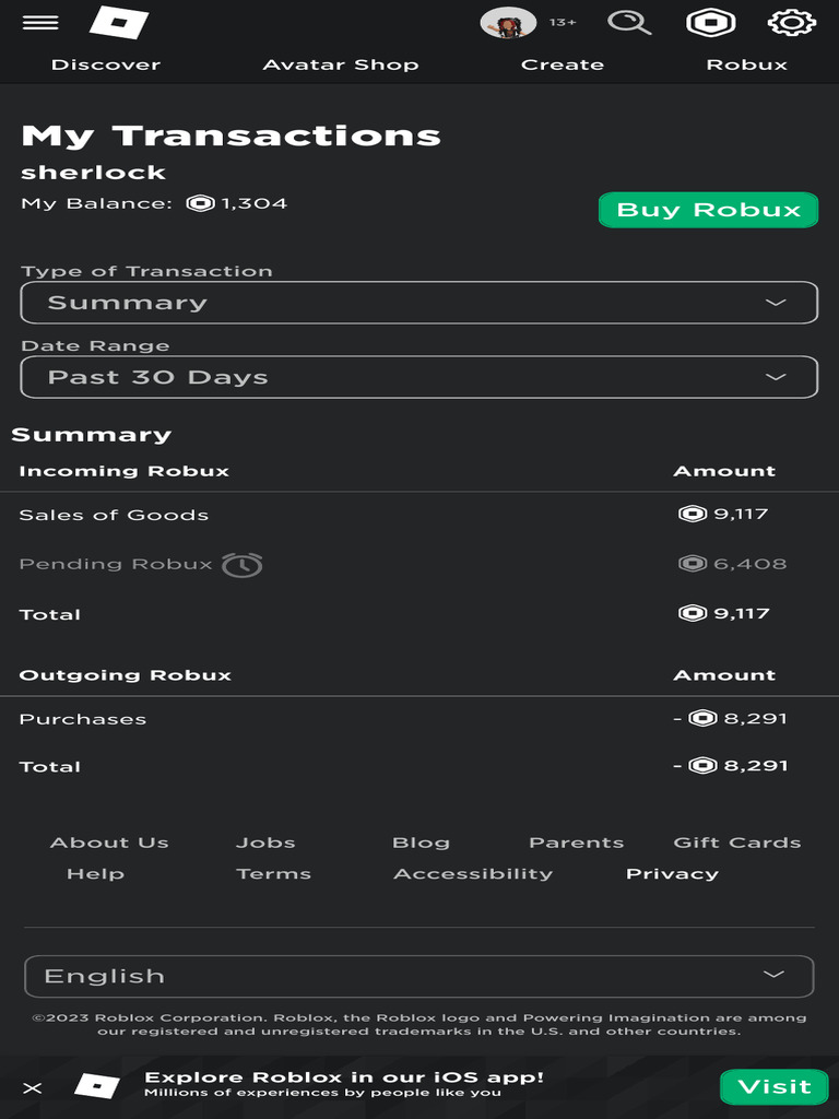 Roblox Transaction Summary Report | PDF