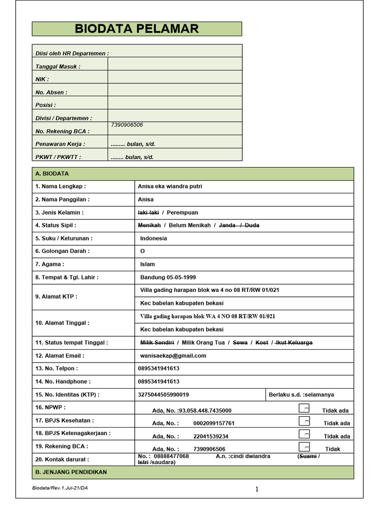 Formulir Biodata Pelamar | PDF