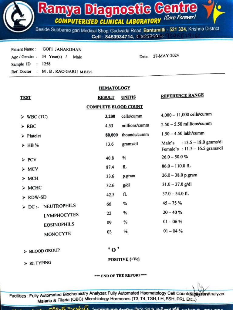 Blood Report | PDF | Diseases And Disorders | Animal Anatomy