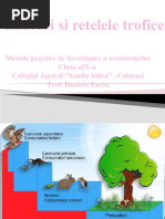 Lanțuri Și Rețele Trofice | PDF