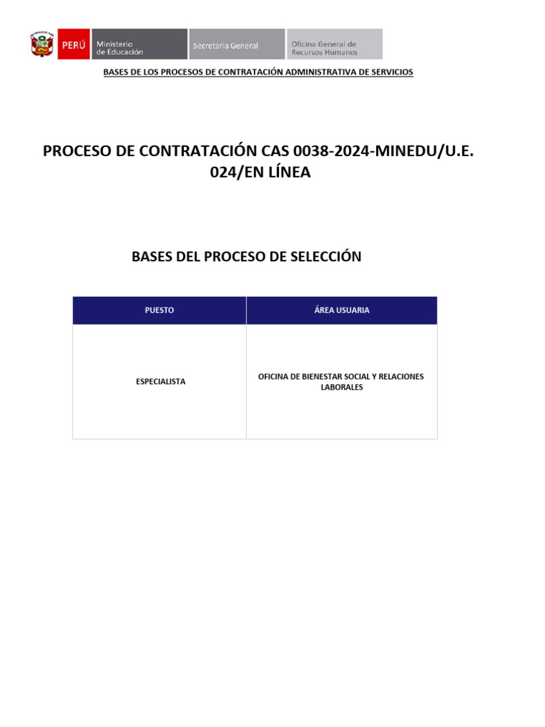 Bases Proceso CAS | PDF