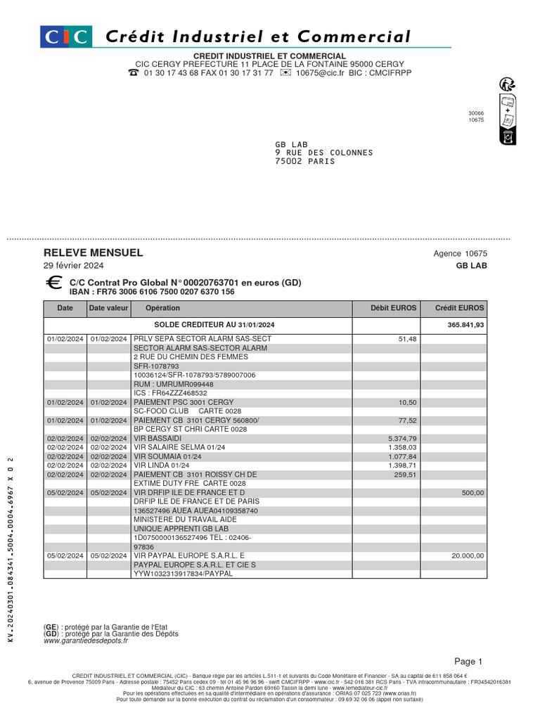 Bank Statement February 2024 | PDF | Banques | Bancaire