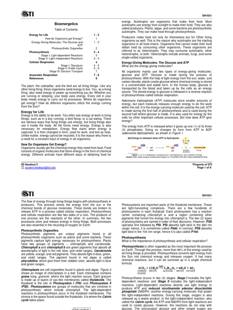 EALS_05_Handout_2 | PDF | Cellular Respiration | Diet & Nutrition