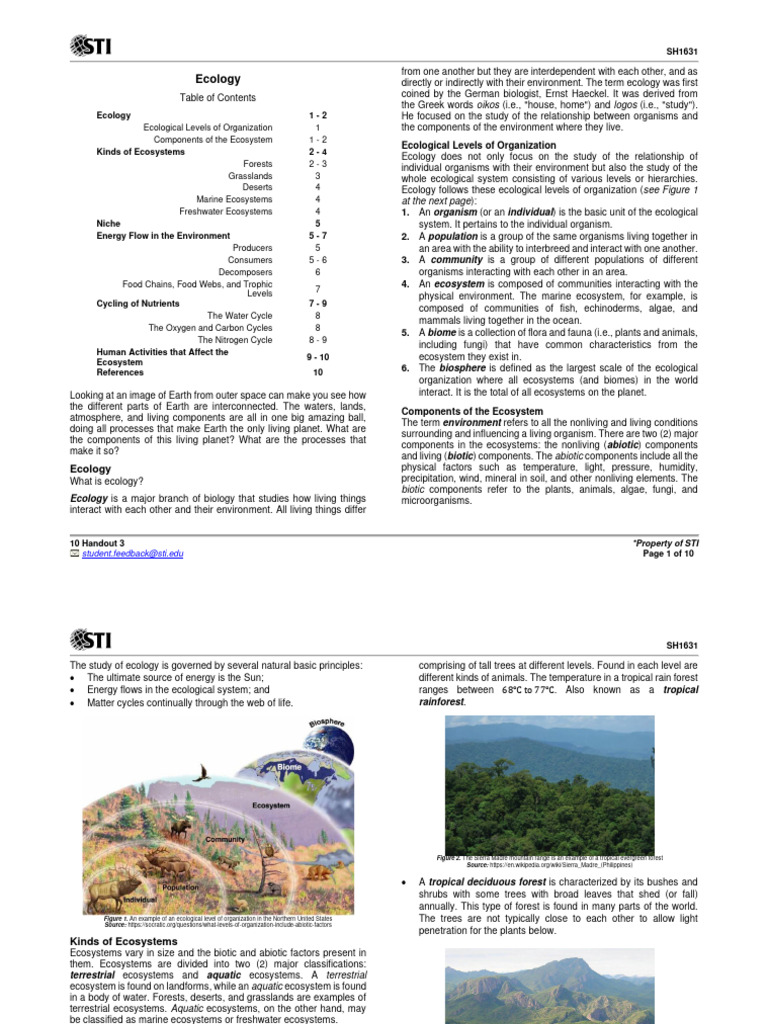 EALS_10_Handout_3 | Download Free PDF | Food Web | Ecosystem