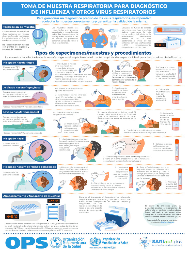Respiratory Sample Collection Infographicspanish | PDF | Influenza ...