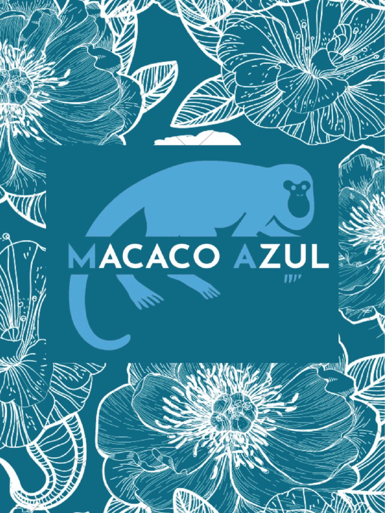 Macaco Azul 1 | PDF