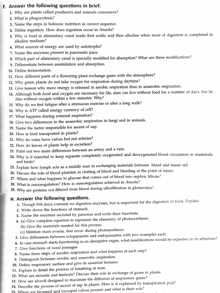 biology class 10th Exam important | PDF | Cellular Respiration | Heredity