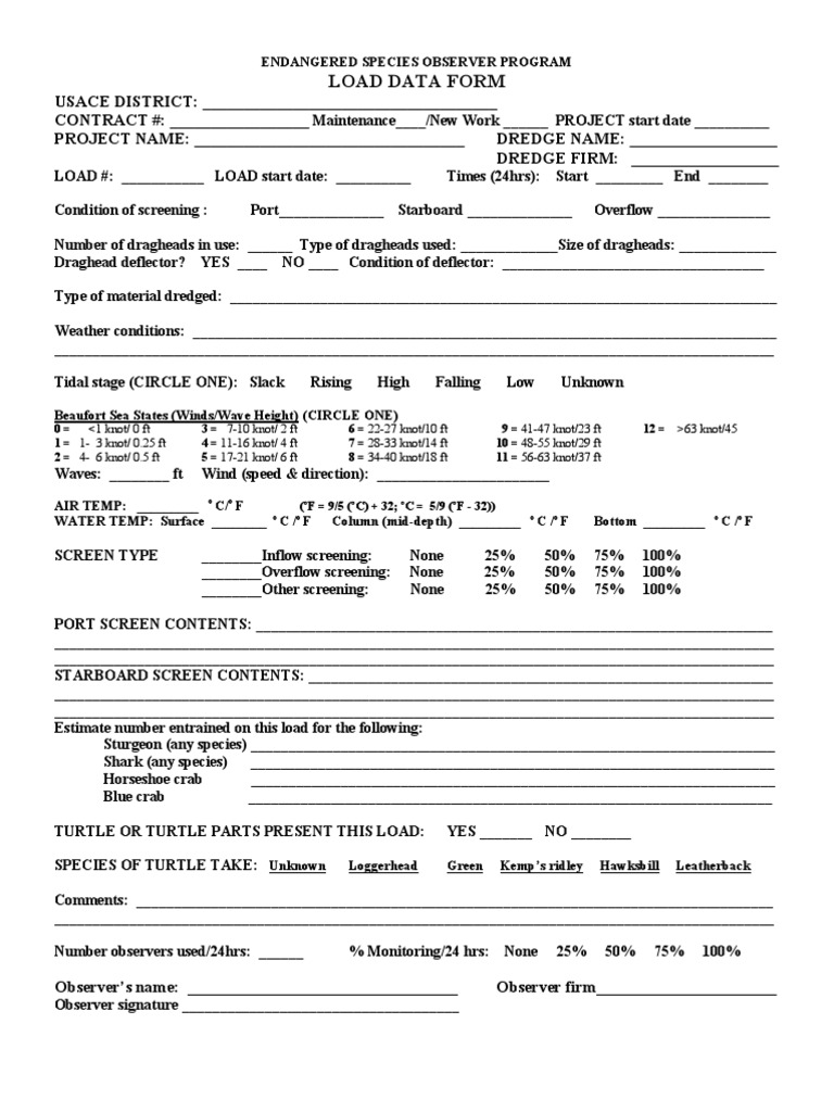 Observer Forms | PDF | Turtle | Nature