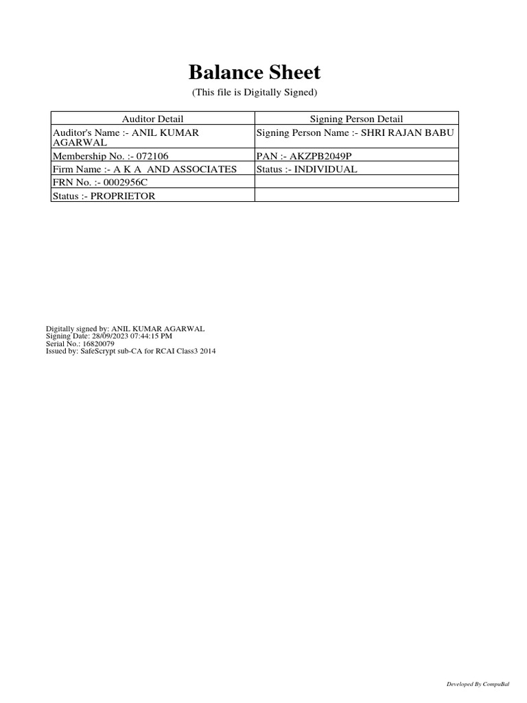 BalanceSheet (9) | Download Free PDF | Depreciation | Balance Sheet