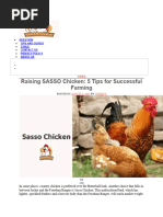 Poultry Production Lecture Notes | PDF | Poultry Farming | Chicken