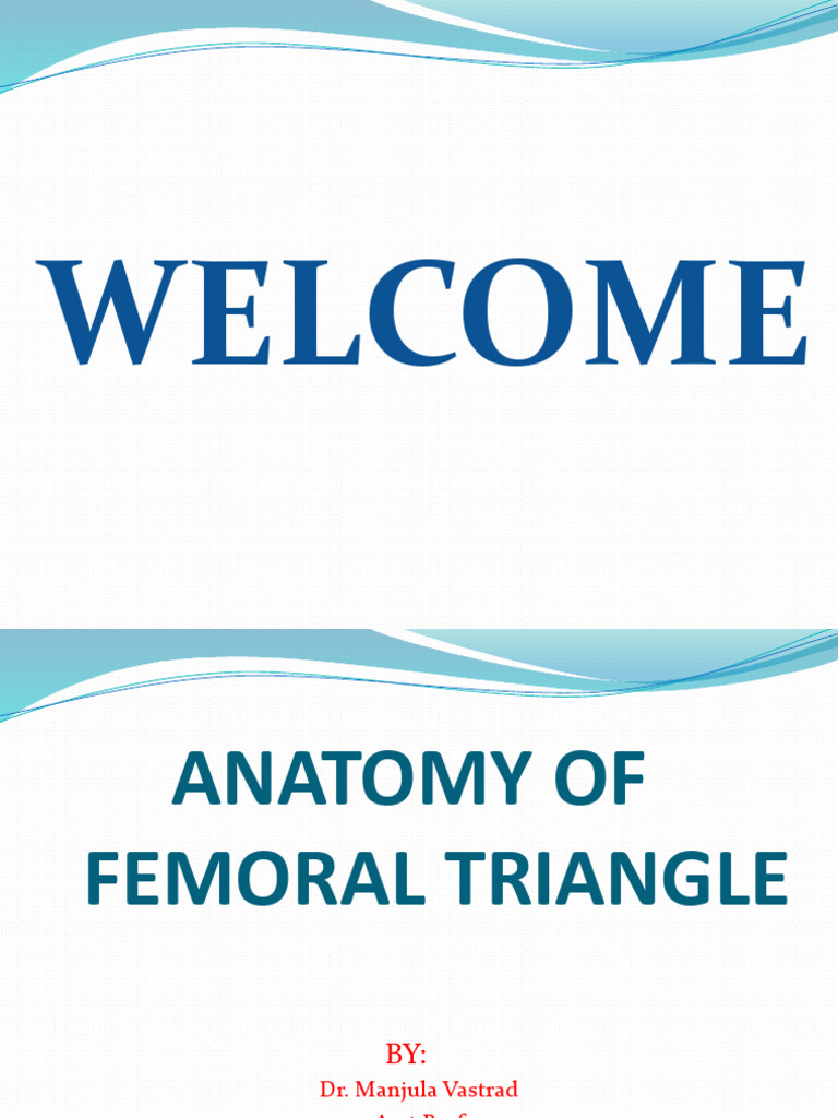 Anatomy of the Femoral Triangle | PDF | Vein | Lower Limb Anatomy