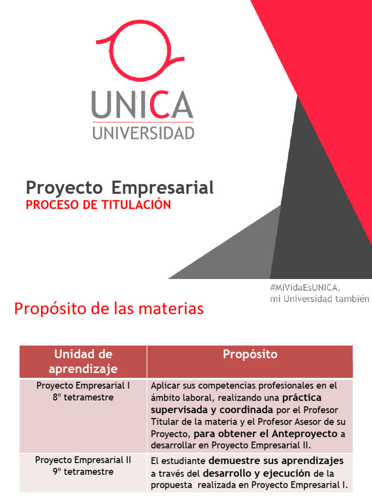 Proceso de Titulacion - Proyecto Empresarial I y 2 | PDF