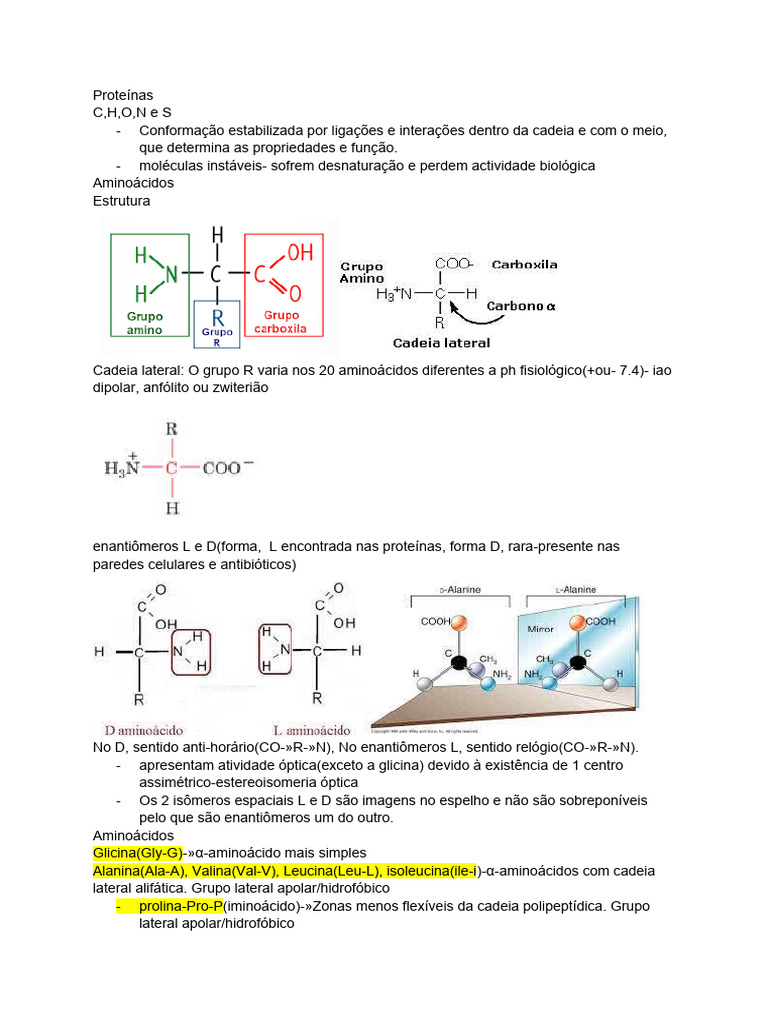 Bioquimica Resumo | PDF | Aminoácido | Compostos orgânicos