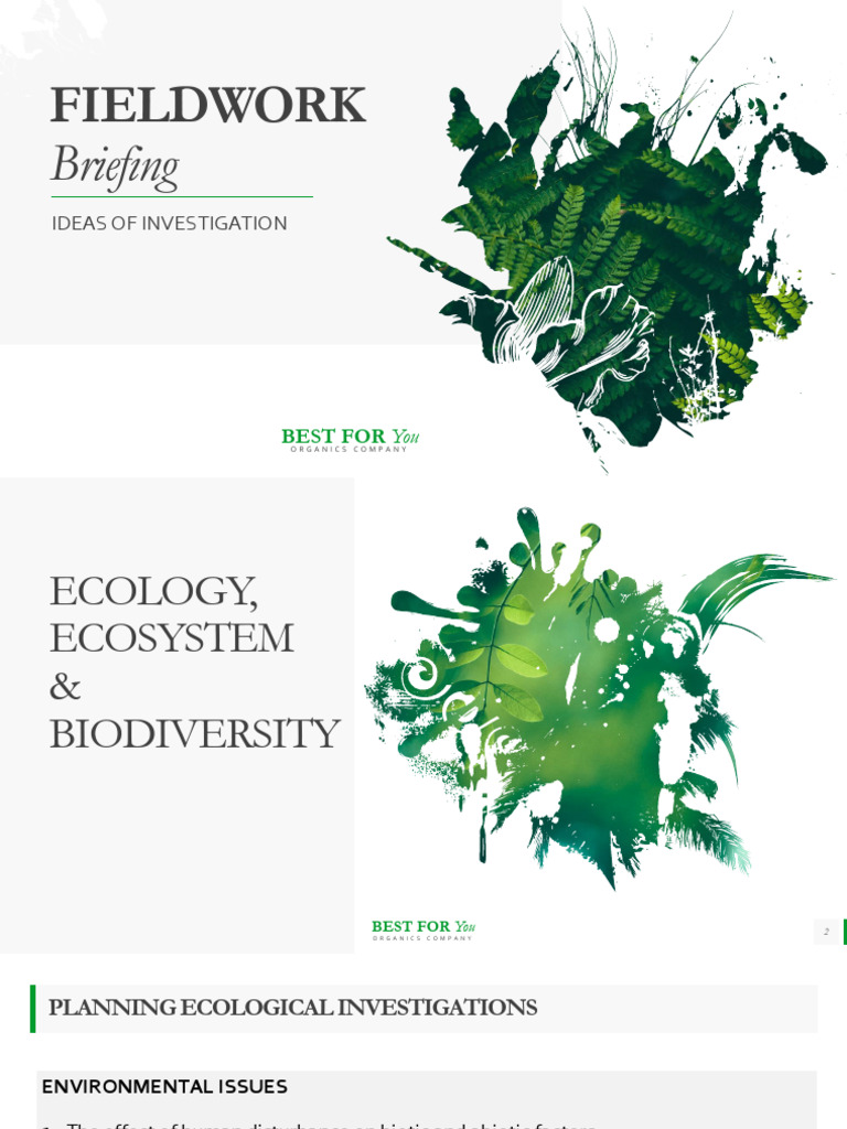 Example of Fieldwork Activity | PDF | Primary Production | Soil
