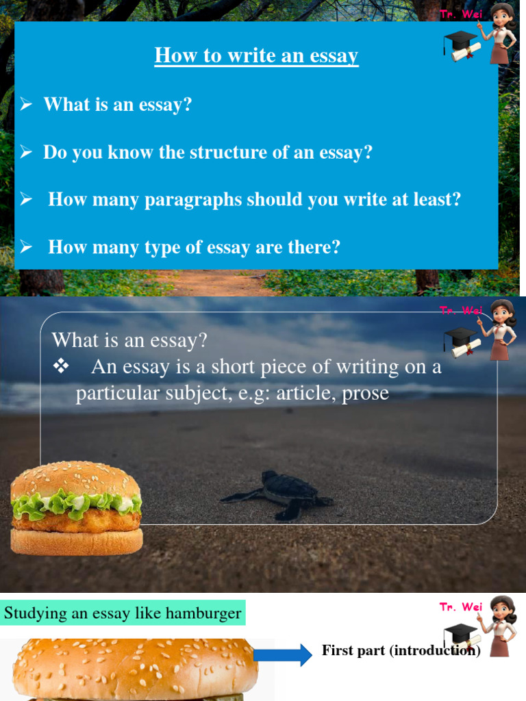 Essay Writing Guide and Tips | PDF | Essays | Writing