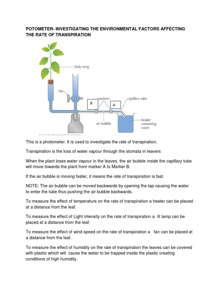 POTOMETER Explanation | Download Free PDF | Leaf | Plants
