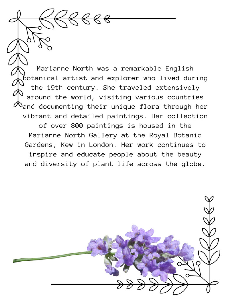 Simple Border Vintage Stationery Notes Paper A4 Document | PDF