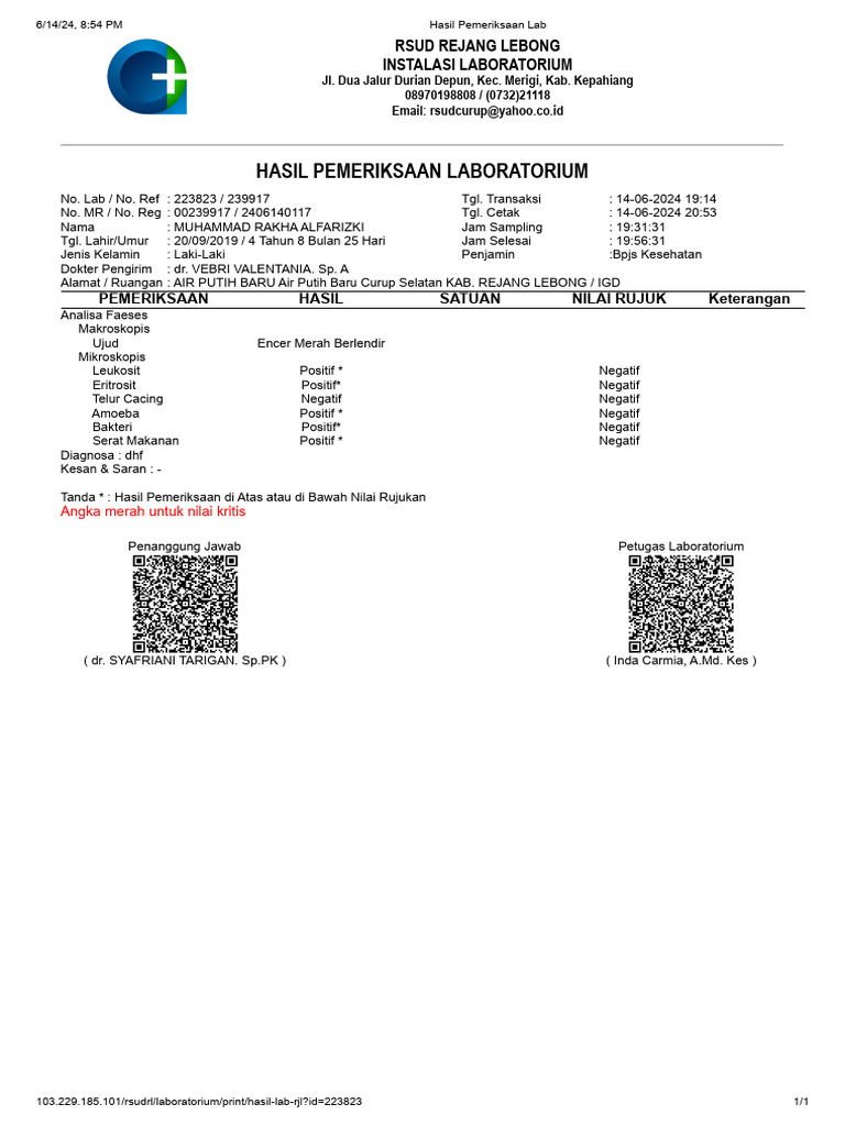 Hasil Lab Feses Muhammad Rakha | PDF