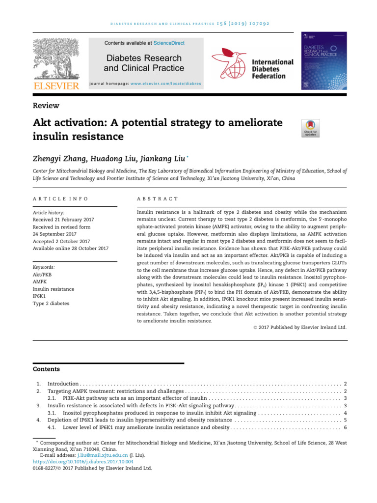 Akt Activation A Potential Strategy To Ameliorate Insulin Resistance ...