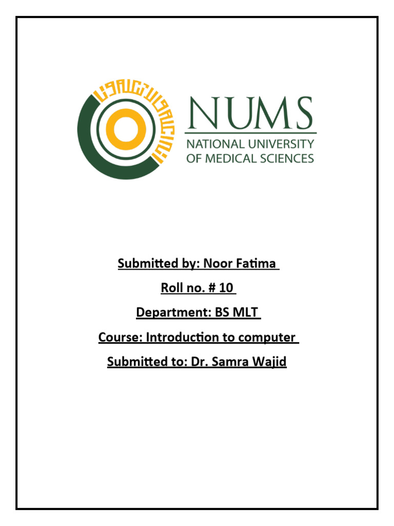 ICT Assignment Noor Fatima | PDF | Ip Address | I Pv6