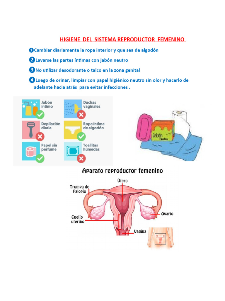 Cuidados De Higiene Del Sistema Reproductor Femenino Pdf